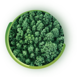 BioFuturePlatform – Accelerate the transition to a global bioeconomy