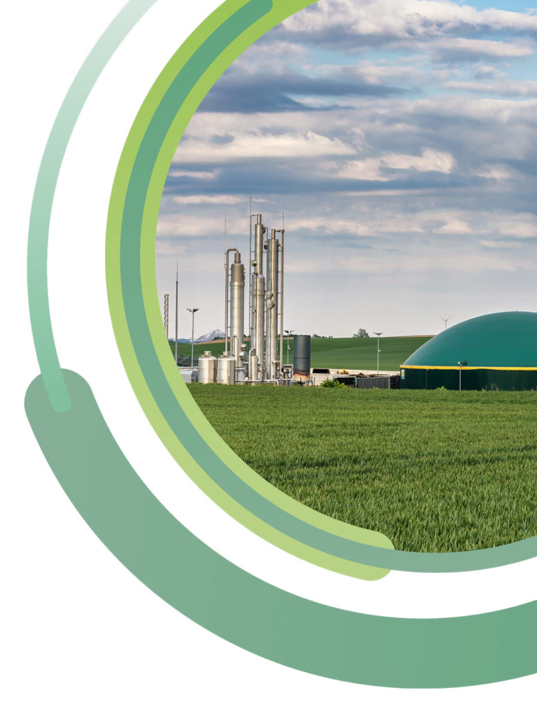 BioFuturePlatform – Accelerate the transition to a global bioeconomy